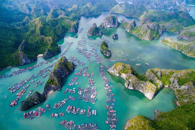 Overnight Lan Ha Bay - Cat Ba on Deluxe Cruise with Kayaking, Cave,... - The Guides: Local Experts with Enthusiasm