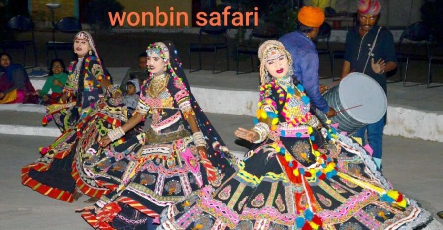 Overnight Luxury Safari by Wonbin Safari - What Makes This Tour Unique?