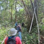 Overnight Mae Taeng highlands Trek from Chiang Mai - What Travelers Say