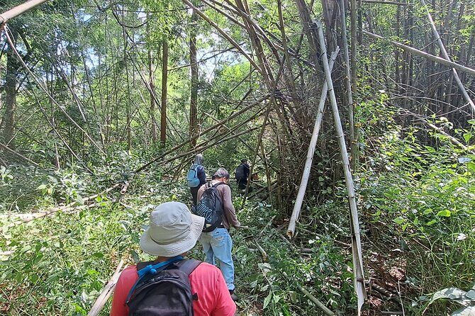 Overnight Mae Taeng highlands Trek from Chiang Mai - What Travelers Say