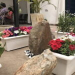 Overnight stay at an Eco Farm near Delhi - What’s Included and What’s Not