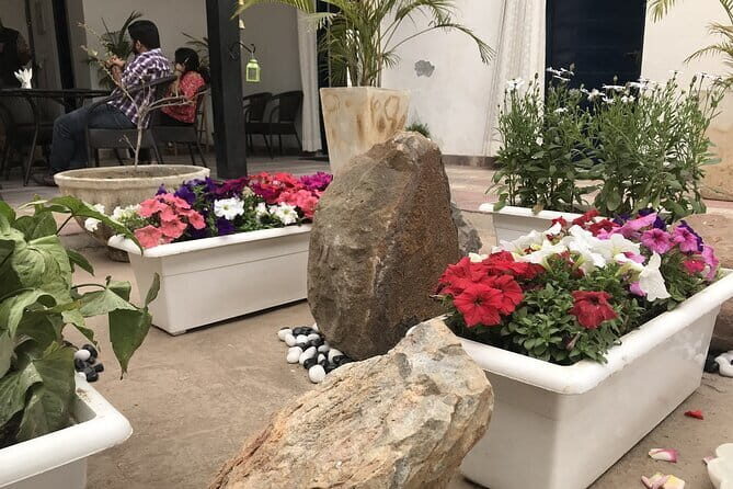 Overnight stay at an Eco Farm near Delhi - What’s Included and What’s Not