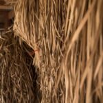 Ox Cart Ride of Rural Cambodia - Who Will Love This Tour?