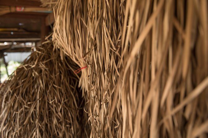 Ox Cart Ride of Rural Cambodia - Who Will Love This Tour?