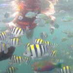 Package 3 days :Visit Sasak Villages,Hiking to Waterfalls, & Snorkeling 3 Gilis - Detailed Breakdown of the Itinerary