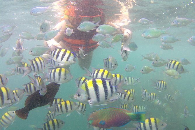 Package 3 days :Visit Sasak Villages,Hiking to Waterfalls, & Snorkeling 3 Gilis - Detailed Breakdown of the Itinerary