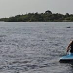 Paddle With Native Wildlife - The Sum Up: Is It Worth It?