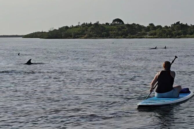 Paddle With Native Wildlife - The Sum Up: Is It Worth It?
