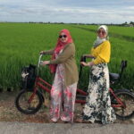 Paddy Field Experience with Real Agricultural Activities - Transportation and Logistics: Making It Easy