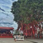 Paddy Field, Fishing Village Sekinchan DAY Tour Lunch (SIC-Shared/Join In Tour) - A Detailed Look at the Tour Experience