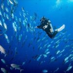 PADI Discover Scuba Diving - The Itinerary in Detail