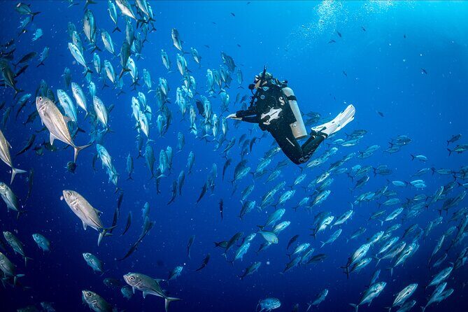 PADI Discover Scuba Diving - The Itinerary in Detail