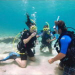 PADI Discover Scuba Diving: at Hol Chan Marine Reserve - What the Tour Looks Like: From Introduction to Adventure