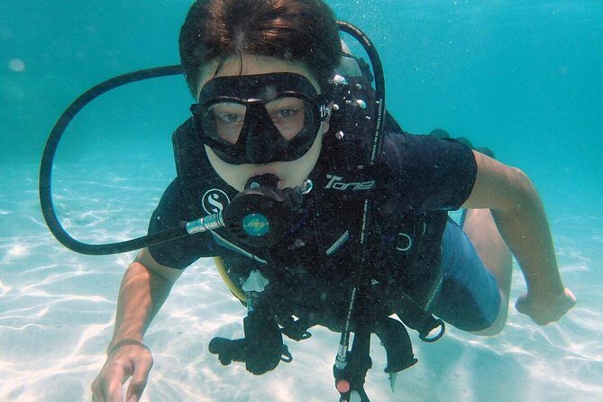 PADI Discover Scuba Diving in Koh Tao - half day and two dives - Marine Life and Dive Sites: What’s in Store