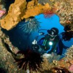 PADI Open water Course in Tulamben - Get certified & dive anywhere in the world - What to Expect During the Course