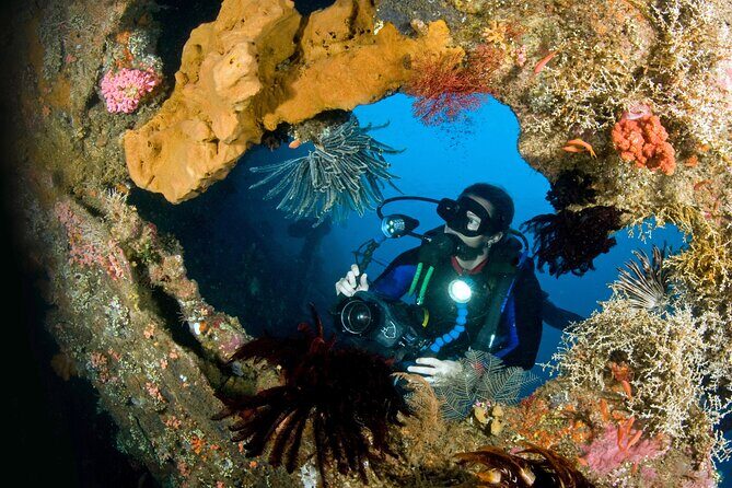 PADI Open water Course in Tulamben - Get certified & dive anywhere in the world - What to Expect During the Course