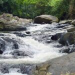 Pala U Waterfall in Kaeng Krachan Jungle with Private Guide from Hua Hin - What Travelers Say: Authentic Perspectives