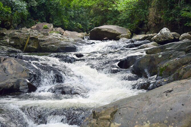 Pala U Waterfall in Kaeng Krachan Jungle with Private Guide from Hua Hin - What Travelers Say: Authentic Perspectives