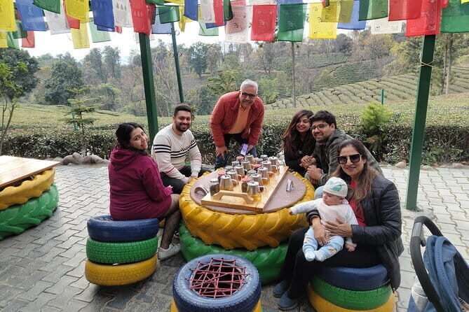 Palampur and Bir Tour, Tea Gardens, Adventures and Paragliding - Transportation, Timing, and Group Dynamics