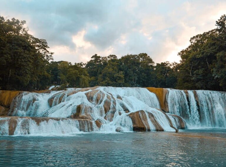 Palenque: Roberto Barrios Waterfall Tour - What to Expect