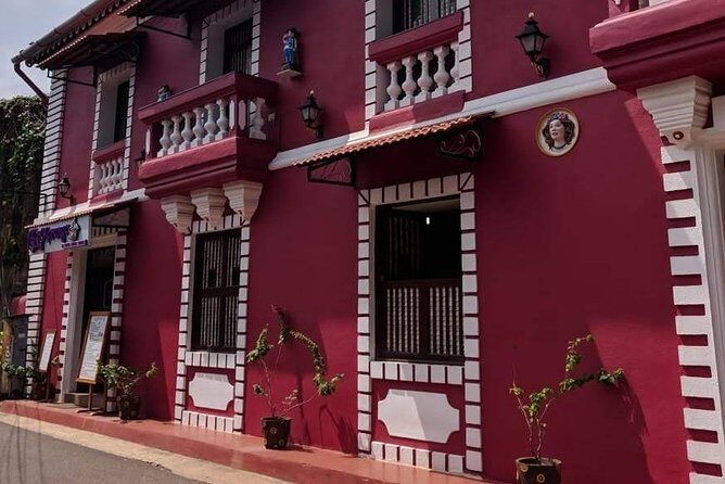 Panaji City Tour with museum visit - Who Will Enjoy This Tour?