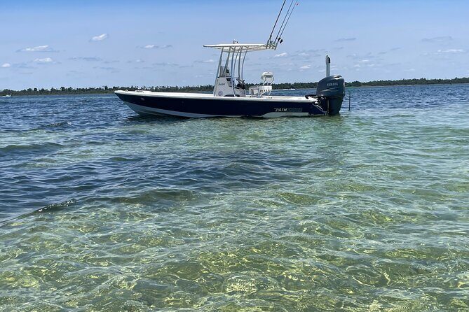 Panama City Beach Florida, Dolphin, Shell Island and Eco Tours - Who Should Book This Tour?