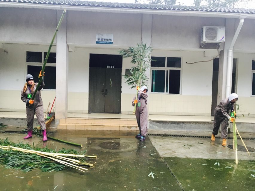 Panda Volunteer Project Day Trip(Wolong/Du Jiang Yan) - Transport, Costs, and Flexibility