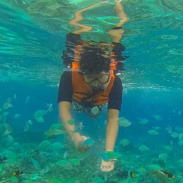 Panglao:Balicasag Island Tour with Turtle & Dolphin Watching - Who Should Consider This Tour?