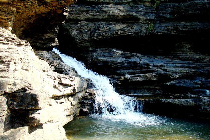 Panna Tiger Reserve Tour from Khajuraho - The Practical Details: Transportation, Timing, and Pricing