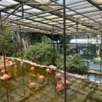 Panorama Sunset Hike to the Peak with Local - Who Will Love This Tour?