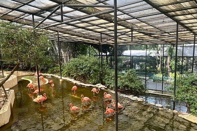 Panorama Sunset Hike to the Peak with Local - Who Will Love This Tour?