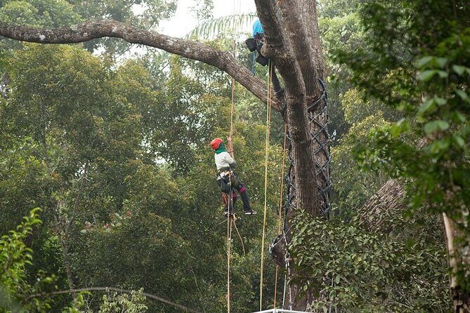 Panoramic Penang Hill & The Habitat Nature Discovery - Analyzing the Cost and Value