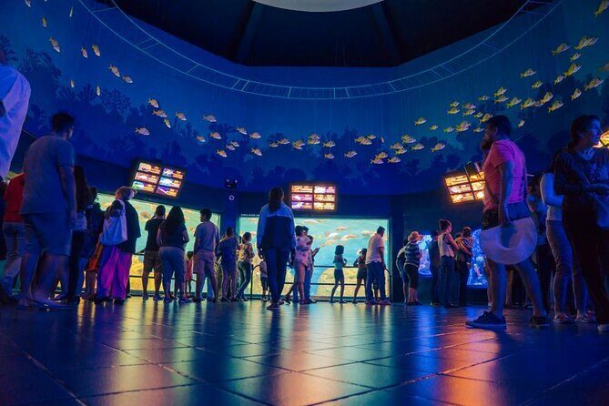 Panoramic Sightseeing Bus City Tour of Veracruz - What to Expect from the Veracruz Panoramic City Tour