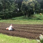 PanoramicTagaytay Ridge Tour from Manila - What We’ve Learned from Reviews