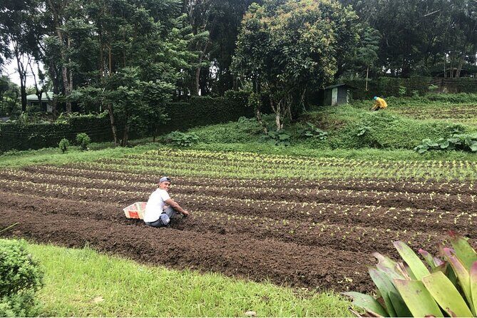 PanoramicTagaytay Ridge Tour from Manila - What We’ve Learned from Reviews