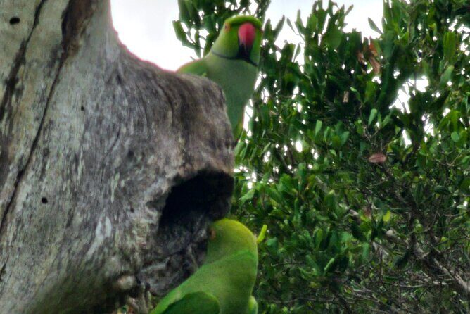 Paradise Bundala Safari Tours - Who Will Benefit Most from This Tour?