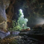 Paradise Cave and Phong Nha Cave Day Trip - Why This Tour Offers Great Value