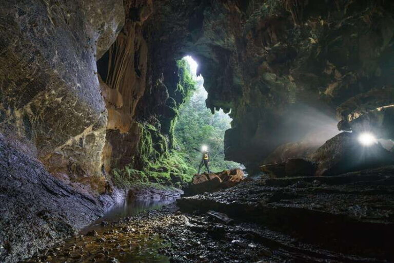 Paradise Cave and Phong Nha Cave Day Trip - Why This Tour Offers Great Value