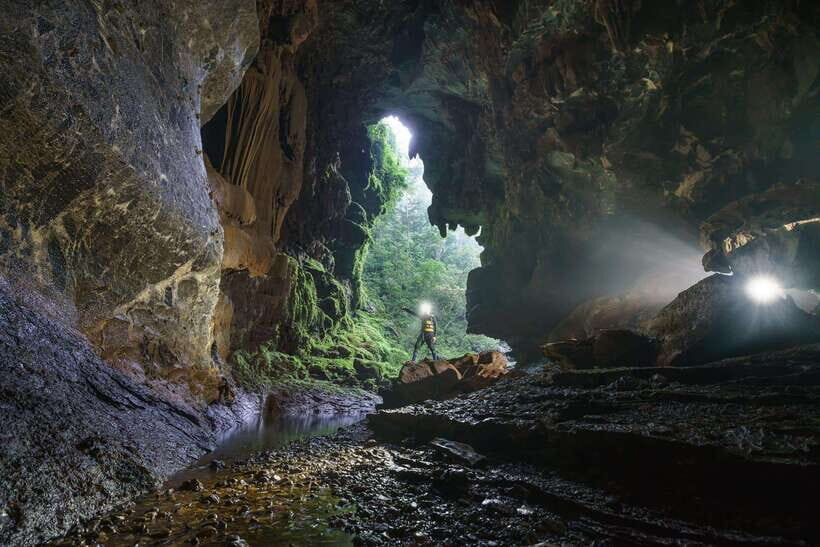 Paradise Cave and Phong Nha Cave Day Trip - Why This Tour Offers Great Value