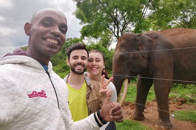 Paradise Ella Day/OneWay Tourvisit or without(Udawalawe/Yala)Tour - The Sum Up: Who Should Book This Tour?