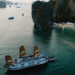 Paradise Sails Cruise 2 days 1 night Halong Bay Tour - The Food and Service: A Highlight for Many
