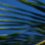 Paramotoring in Bentota - Who Should Consider This Experience?