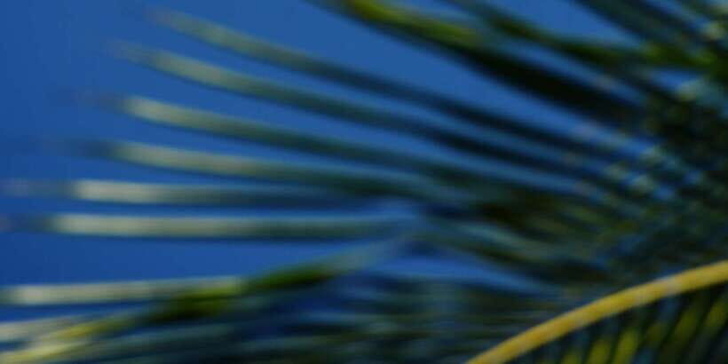 Paramotoring in Bentota - Who Should Consider This Experience?