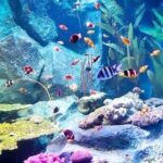 PATTAYA: Join Tour Under Water World Pattaya - How the Experience Comes Together: Pros and Cons