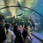 Pattaya Underwater World Entrance Ticket - The Reviews: What Past Visitors Say
