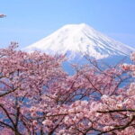 Peaks & Peace: Mt. Fuji, Fuji Stupa & Hakone Tour - Practical Insights: What Does This Tour Mean for You?