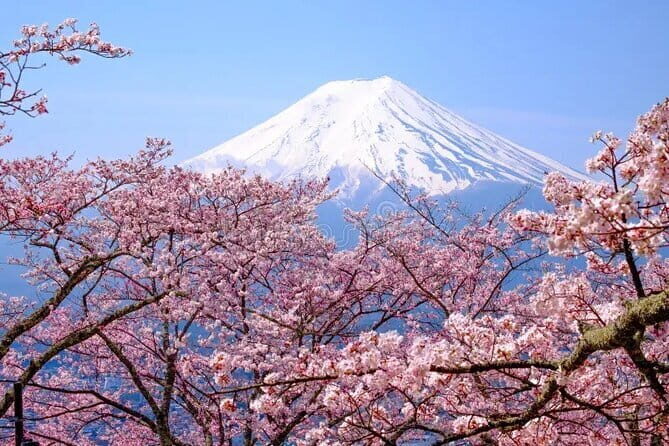 Peaks & Peace: Mt. Fuji, Fuji Stupa & Hakone Tour - Practical Insights: What Does This Tour Mean for You?
