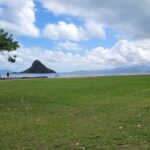 Pearl Harbor Island Tour with lunch and Byodo Temple - Practical Tips and Considerations