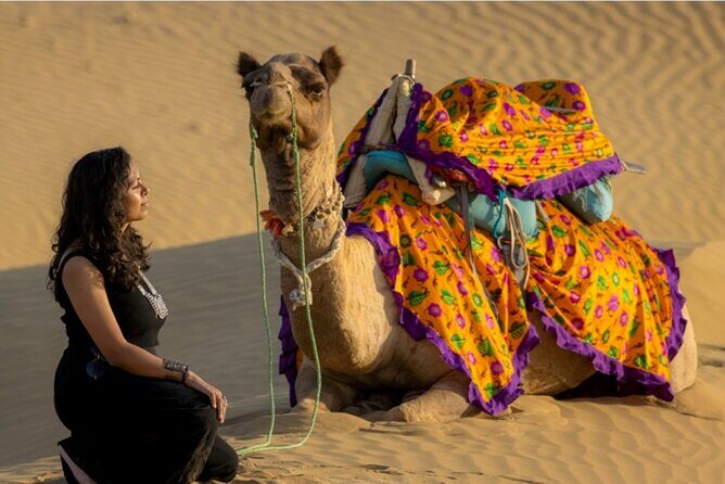 Peep's Billions of Stars Experience with Desert & Camel Safari - The Experience in Context