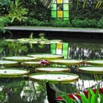 Penang Round Island Tour With Tropical Spice Garden & Entopia Butterfly Farm - Practicalities & Considerations